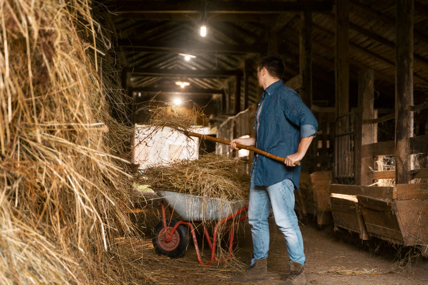Hay Equipment Essentials: Tools Every Small Farm Needs for Handling and ...