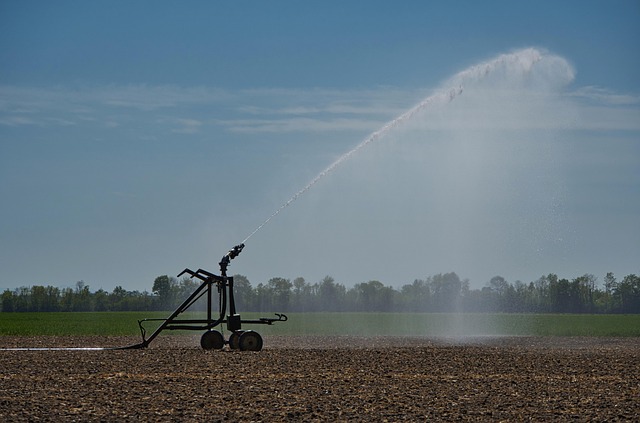 Hay Irrigation Scheduling: When and How Much Water to Use - Ohana Hay