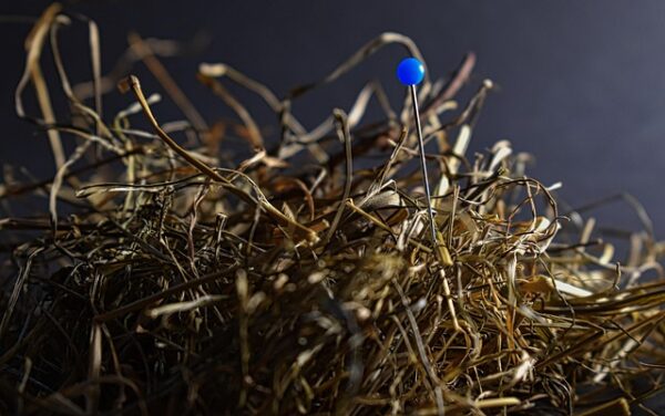 Hay Buying Mistakes First-Time Livestock Owners Make (and How to Avoid ...